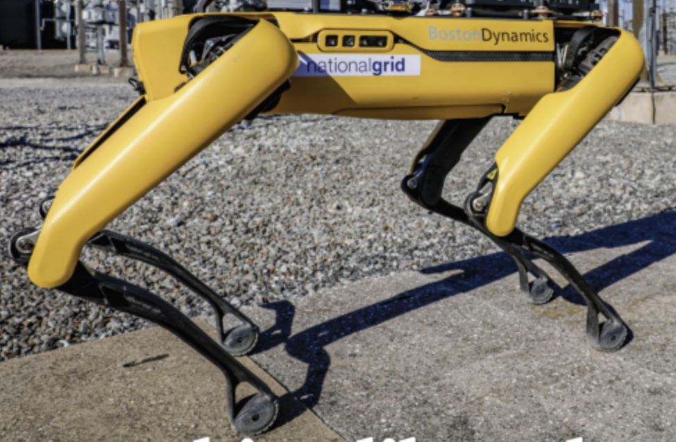 A PACK OF K9 ROBOTS – PETER GRIFFIN